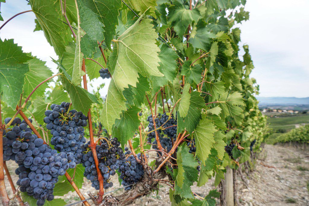 Tuscany in September - Talk Travel To Me